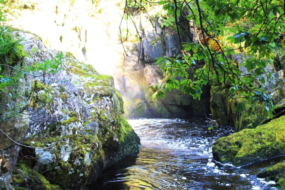 Visitor Information - Ingleton Waterfalls Trail - Ingleton Waterfall Walk